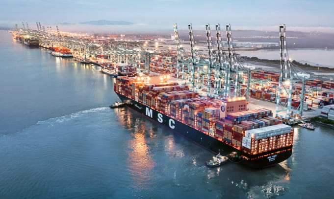 About the MSC Group: Pioneers in Global Logistics
