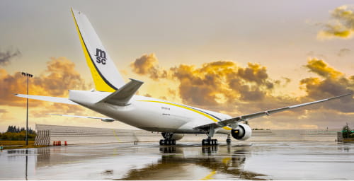 Our Companies: The MSC Group's Global Portfolio