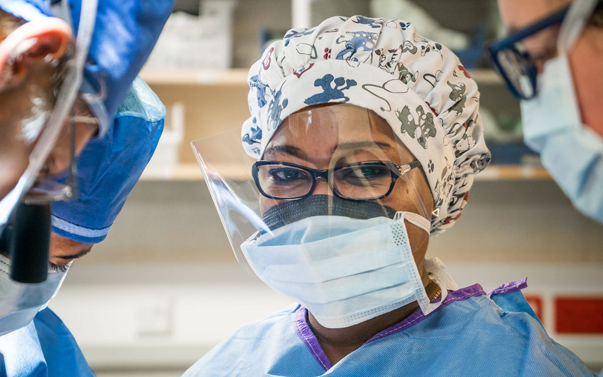 MSC Group and Mercy Ships New Hospital Ship I MSC Group